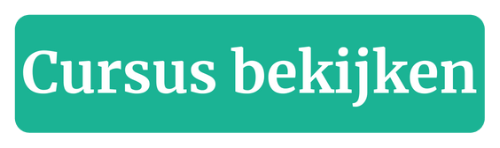 Praktische StudieBijbel cursus - StudieBijbel